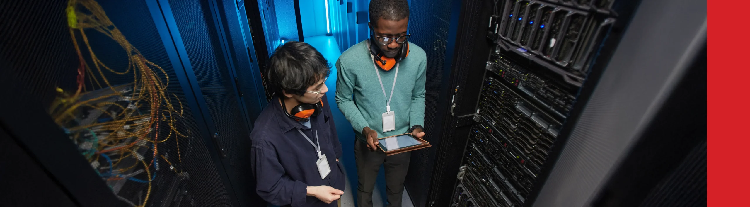 What Is Shared Hosting? Learn the Basics of Shared Web Hosting ...